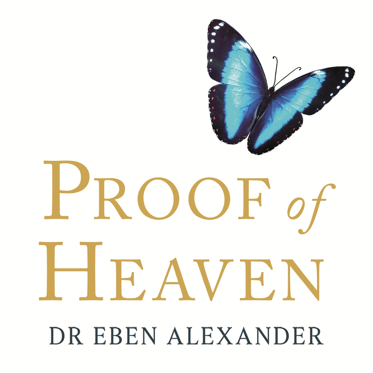 A glimpse into the NDE in “Proof of Heaven” – DIANA MARIN