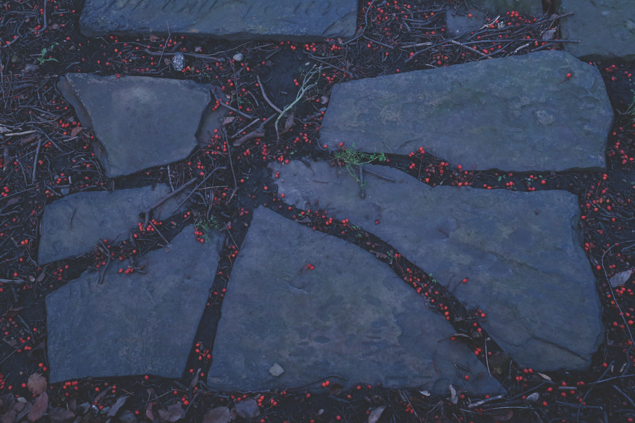 Urban Fragmentation and Decay – DIANA MARIN