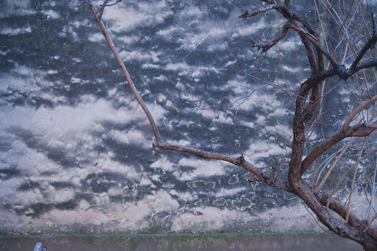 Urban Fragmentation and Decay – DIANA MARIN